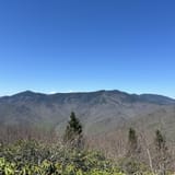 Graybeard Trail, North Carolina - 1,811 Reviews, Map | AllTrails