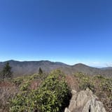 Graybeard Trail, North Carolina - 1,769 Reviews, Map | AllTrails