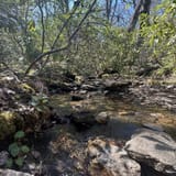 Graybeard Trail, North Carolina - 1,758 Reviews, Map | AllTrails