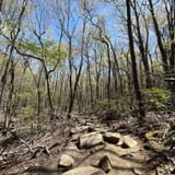 Graybeard Trail, North Carolina - 1,769 Reviews, Map | AllTrails