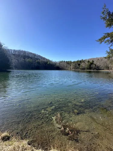 Best Forest Trails in Marsh-Billings-Rockefeller National Historical ...