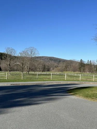 Best Forest Trails in Marsh-Billings-Rockefeller National Historical ...