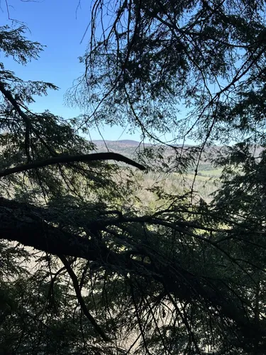 Best Forest Trails in Marsh-Billings-Rockefeller National Historical ...