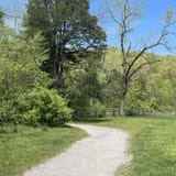 Rutledge Falls Trail, Tennessee - 630 Reviews, Map | AllTrails