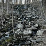 Cascade Falls Loop Trail, Massachusetts - 846 Reviews, Map | AllTrails