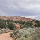 Wire Pass Trail, Utah - 2,848 Reviews, Map | AllTrails