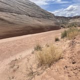 Wire Pass Trail, Utah - 2,974 Reviews, Map | AllTrails
