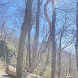 Sharp Top Trail, Virginia - 2,843 Reviews, Map | AllTrails