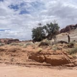 Wire Pass Trail, Utah - 2,974 Reviews, Map | AllTrails
