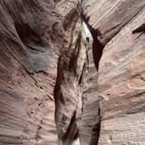 Wire Pass Trail, Utah - 2,974 Reviews, Map | AllTrails