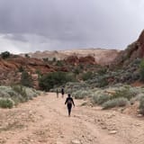 Wire Pass Trail, Utah - 2,974 Reviews, Map | AllTrails