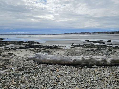 Best Forest Trails in Rachel Carson National Wildlife Refuge | AllTrails