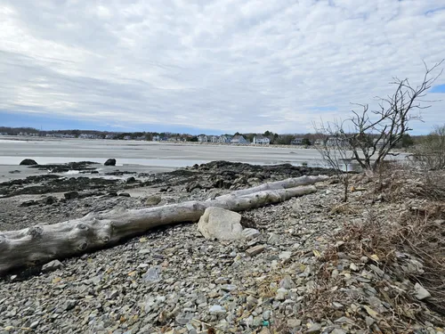 Best Forest Trails in Rachel Carson National Wildlife Refuge | AllTrails