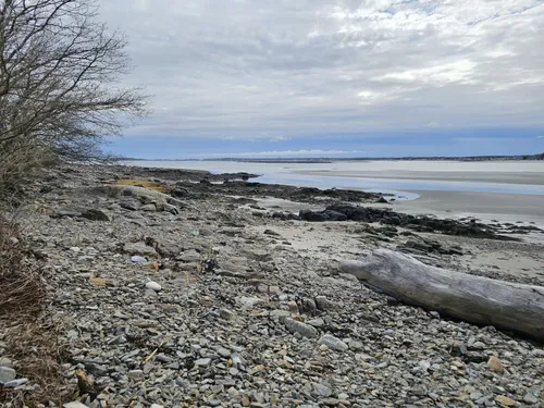 Best Forest Trails in Rachel Carson National Wildlife Refuge | AllTrails