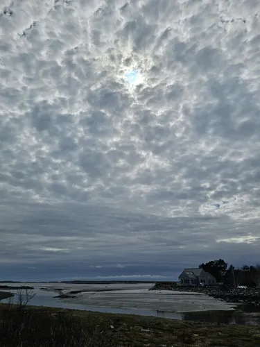 Best Forest Trails in Rachel Carson National Wildlife Refuge | AllTrails