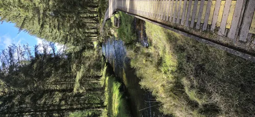 Best Waterfall Trails in Hafren Forest | AllTrails