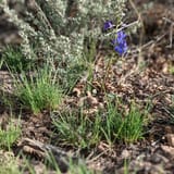 Round Valley, Utah - 191 Reviews, Map | AllTrails