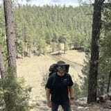 Cabin Loop Trail, Arizona - 244 Reviews, Map | AllTrails