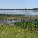 Carney Island Perimeter Loop, Florida - 231 Reviews, Map | AllTrails