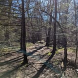 Gonic Falls via Isinglass Trail and Watson's Way, New Hampshire - 594 ...