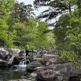 Crane Lake Trail, Missouri - 138 Reviews, Map | AllTrails