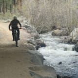 Dry Pond Loop, Nevada - 1,461 Reviews, Map | AllTrails