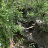 SIUE Nature Preserve Loop, Illinois - 664 Reviews, Map | AllTrails