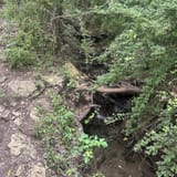 Cedar Ridge Outer Loop, Texas - 2,115 Reviews, Map | AllTrails