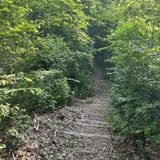 Cedar Ridge Outer Loop, Texas - 2,115 Reviews, Map | AllTrails