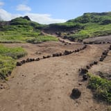 ʻŌhai Trail Loop, Maui, Hawaii - 829 Reviews, Map | AllTrails