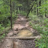 Indian Point Trail, Illinois - 1,632 Reviews, Map | AllTrails