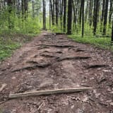 Indian Point Trail, Illinois - 1,680 Reviews, Map | AllTrails