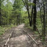 Indian Point Trail, Illinois - 1,632 Reviews, Map | AllTrails