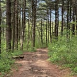 Indian Point Trail, Illinois - 1,680 Reviews, Map | AllTrails