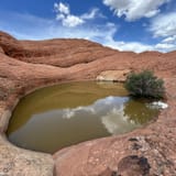 The Bowl, The Vortex, Utah - 1,709 Reviews, Map | AllTrails