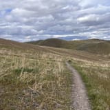 Keystone Canyon Trail, Nevada - 1,213 Reviews, Map | AllTrails