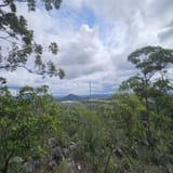 Mount Elimbah Track (Saddleback Mountain), Queensland, Australia - 169 ...