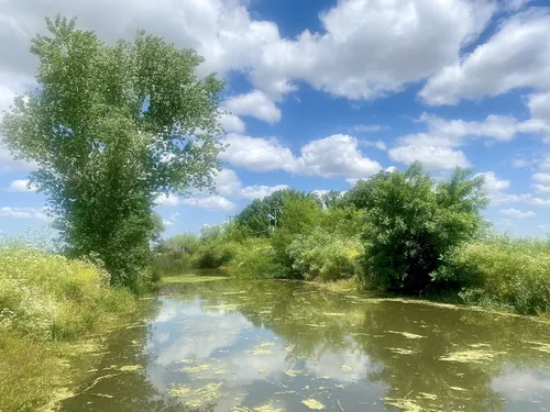 Best River Trails in Merced | AllTrails