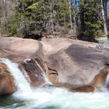 Franconia Falls Trail, New Hampshire - 1,613 Reviews, Map | AllTrails