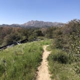 Metate Trail, California - 240 Reviews, Map | AllTrails