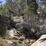 Metate Trail, California - 240 Reviews, Map | AllTrails