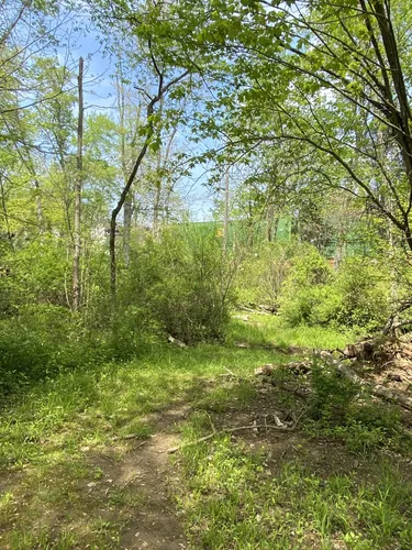 Best Trail Running Trails in Broad Run | AllTrails