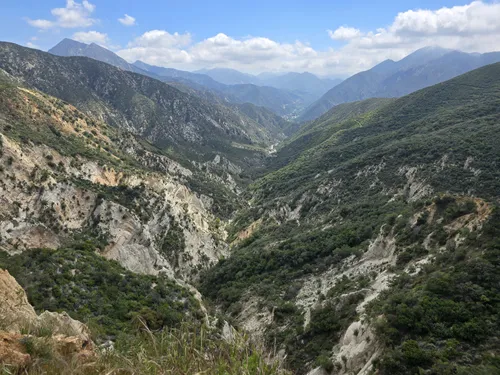 Best Forest Trails in Sunland-Tujunga | AllTrails