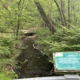 Tanyard Perimeter Loop, Arkansas - 2,737 Reviews, Map | AllTrails