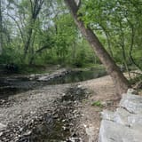 Tanyard Perimeter Loop, Arkansas - 2,737 Reviews, Map | AllTrails