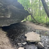 Tanyard Perimeter Loop, Arkansas - 2,700 Reviews, Map | AllTrails
