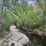 Tanyard Perimeter Loop, Arkansas - 2,737 Reviews, Map | AllTrails