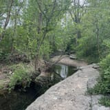 Tanyard Perimeter Loop, Arkansas - 2,700 Reviews, Map | AllTrails