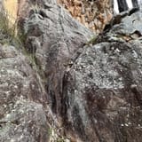 Mount Maroon Caves, Queensland, Australia - 123 Reviews, Map | AllTrails