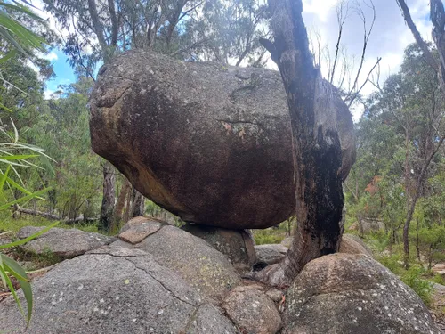 Best Hikes and Trails in Stanthorpe | AllTrails